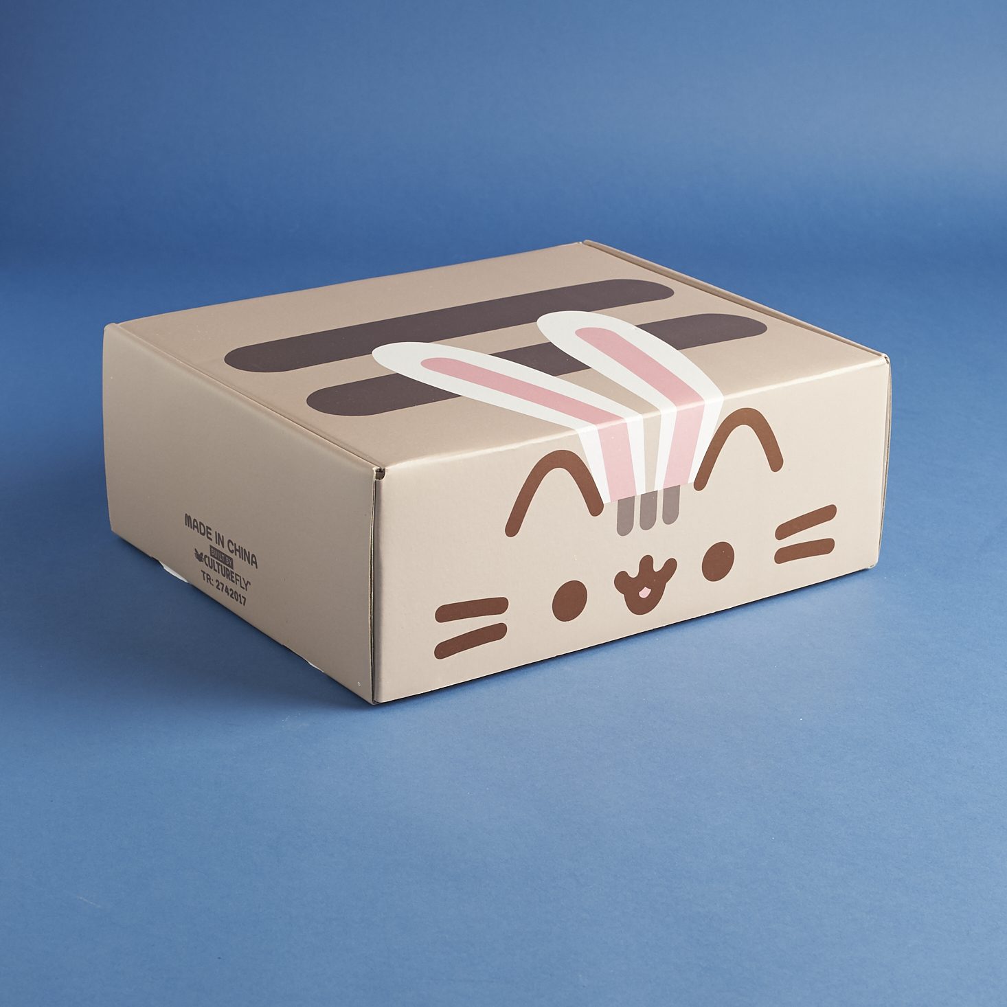 Pusheen Box Spring 2017 Subscription Box Review | My Subscription Addiction